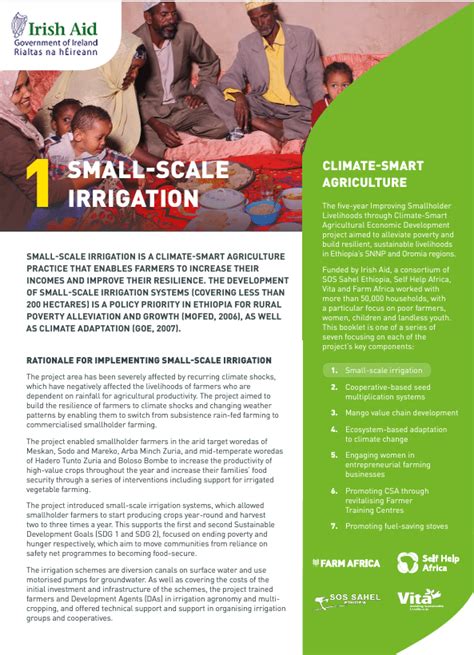 Small Scale Irrigation Farm Africa