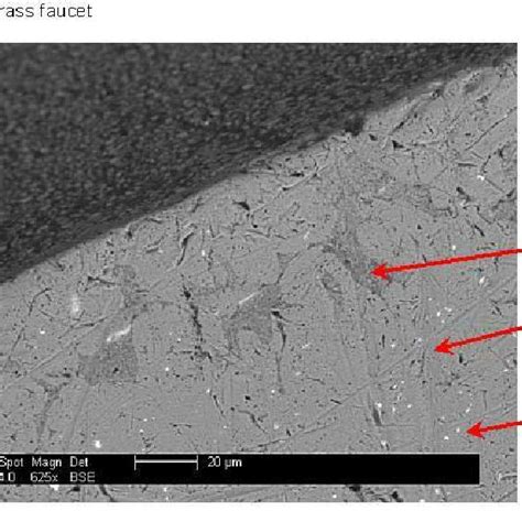 Structure Of Brass Revealed In Sem Imaging Using Back Scattered
