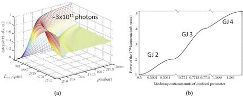 A Numerical Simulations Of The Atomic Response And Phase Matching In
