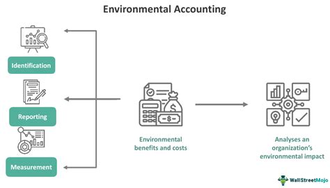 Environmental Accounting Definition Objective Type Advantages