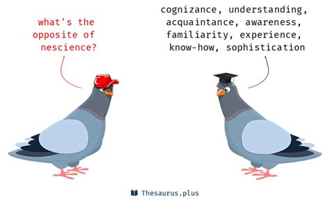 8 Nescience Antonyms Full List Of Opposite Words Of Nescience
