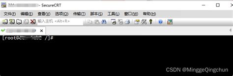 Securecrtandsecurefx Portable远程连接linux；上传下载文件securefxportable Csdn博客