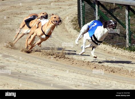 full speed Stock Photo - Alamy