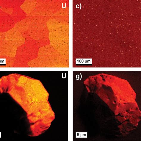Electron Micrographs Of Bulk Cr Doped Uo2 And A Single Crystal Download Scientific Diagram