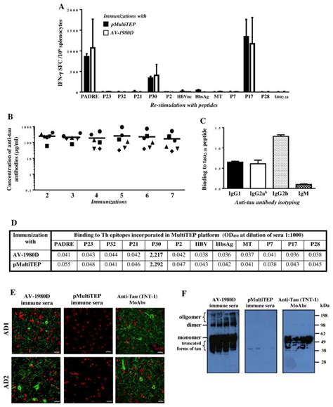 Multitep Platform Based Dna Epitope Vaccine Targeting N Terminus Of Tau