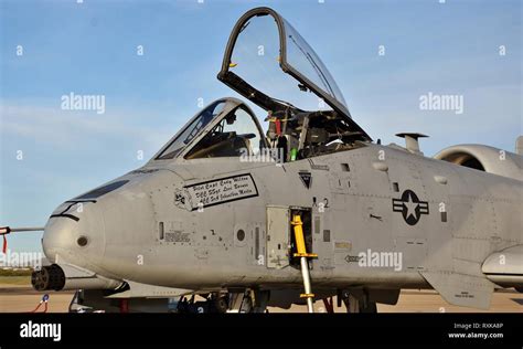 A 10 Canopy Atelier Yuwaciaojp