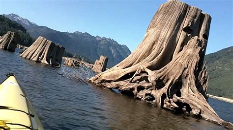 Kayaking The Dead Forest Of Lake Keechelus Youtube