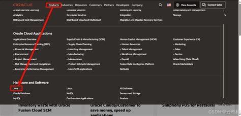 （2025年）初学java——安装jdkjdk下载需要oracle账号 Csdn博客
