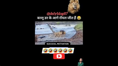 पुल बह गया Cartoon Comedy Shorts Vairalbmw Alvishyadav