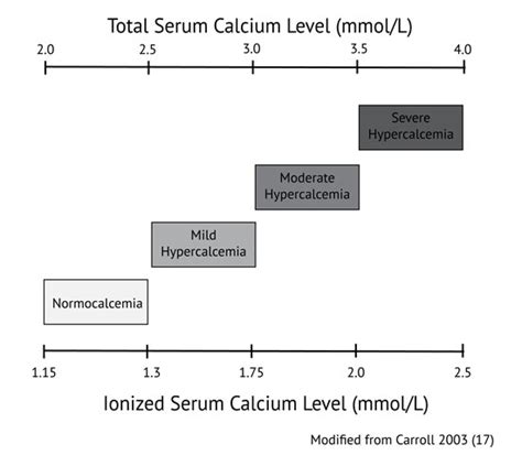 How To Check Calcium Levels Alternativedirection12