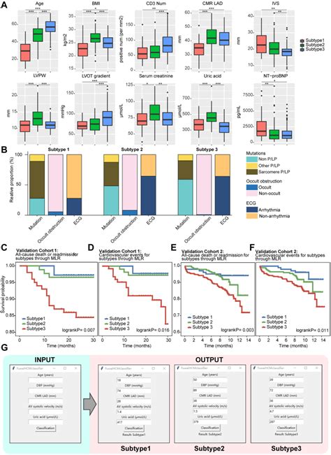 Phenotype Based Classification Of Obstructive Hypertrophic Cardiomyopathy Undergoing Myectomy Pmc