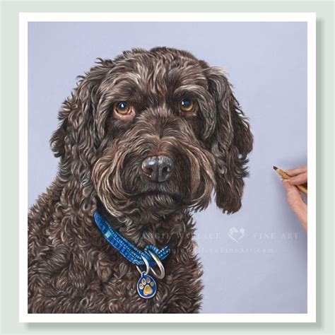 Riley Coloured Pastel Cockapoo Portrait By Pet Artist Angie