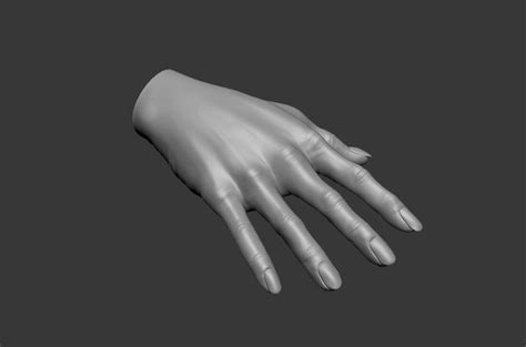 Hand Reference For 3d Modeling