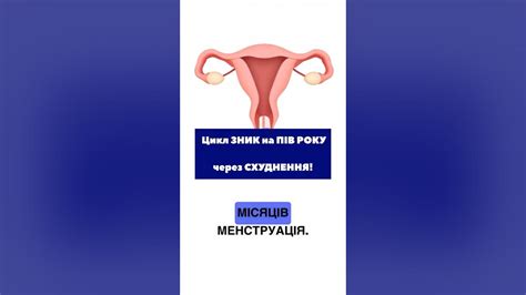 СХУДЛА зникла МЕНСТРУАЦІЯ оленавойтович силавтобі ольгадорош Youtube