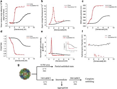 Chemically Induced Unfolding Of Bals In Pbs Buffer Using Urea And Download Scientific Diagram