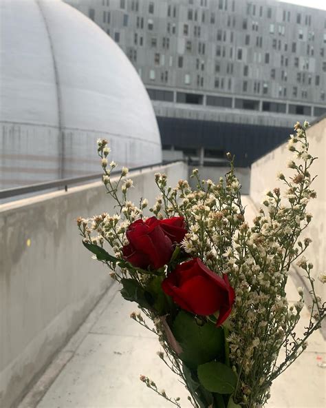 Lussie Slide For Detail Instagram