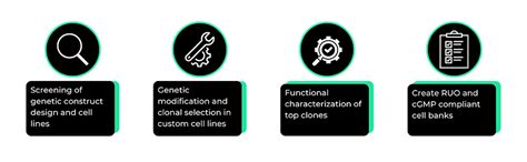 Synthetic Biology Foundry