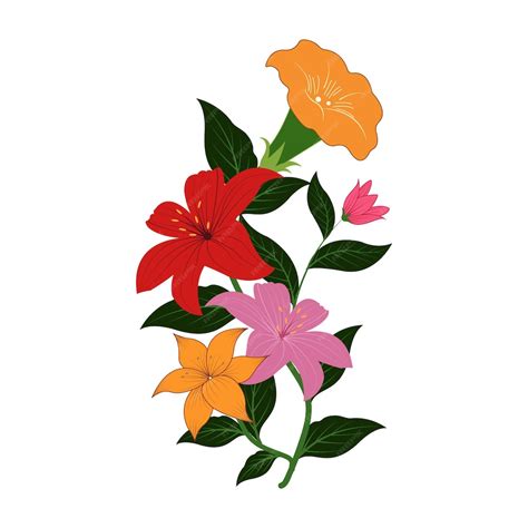 Premium Vector Beautiful Colorful Floral Vector Graphic Design Vactor