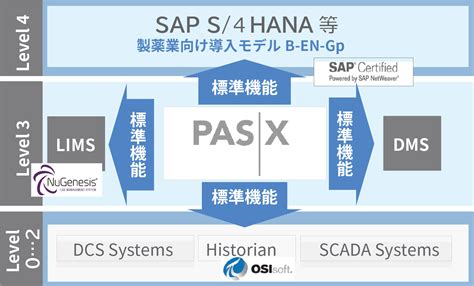 Pas X Mes Business Engineering Corporation B En G