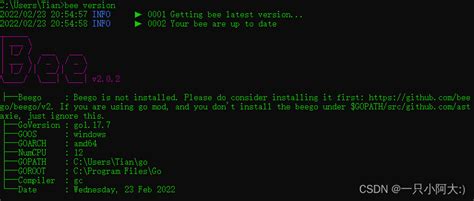 Go框架beego安装并简单使用以及遇到的问题running Application Outside Of Gopath Csdn博客
