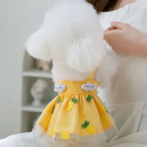 봄 여름 고양이 공주 드레스 신선한 스타일 귀여운 구름 딸기 파인애플 애완 동물 치마 강아지 고양이 드레스 애완 동물 옷 AliExpress