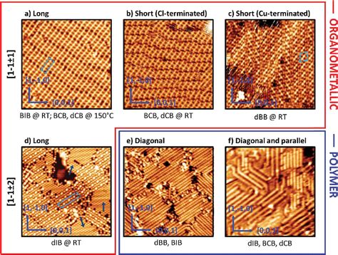 Figure 5 From The Role Of Halogens In On Surface Ullmann Polymerization