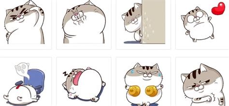 Best Cat Stickers For Whatsapp And Sticker Maker 2026