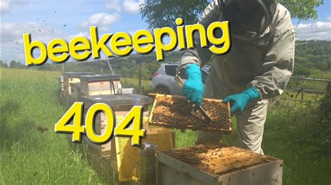 Beekeeping In Devon Youtube