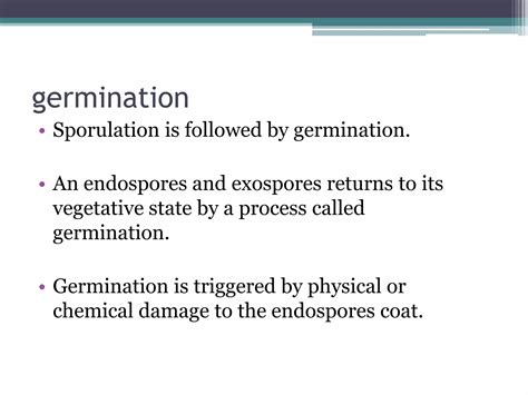 Sporulation Pptx
