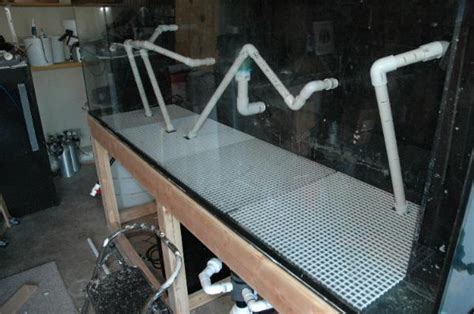 Closed Loop System Pics And Benefits Reef2reef