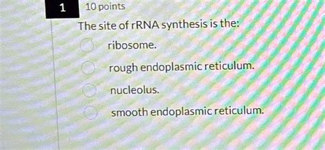 10 Points The Site Of Rrna Synthesis Is The Ribosome Rough Endoplasmic