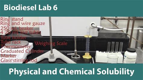 Solubility Lab Ideas At Gabriel Basser Blog