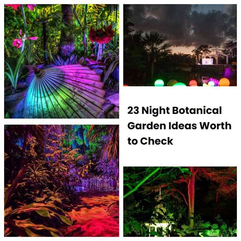 23 Night Botanical Garden Ideas Worth To Check Sharonsable