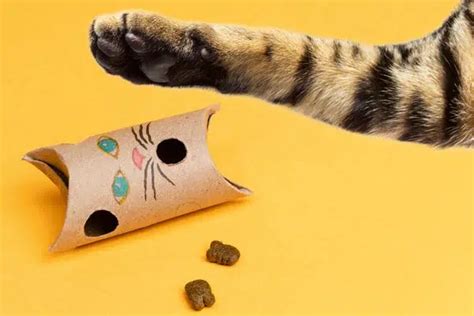 25 Free Diy Cat Toys You Can Make At Home With Pictures Catster