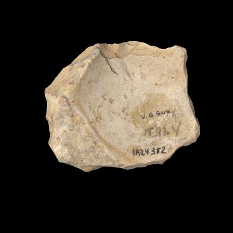 Flake Museum Of Stone Tools