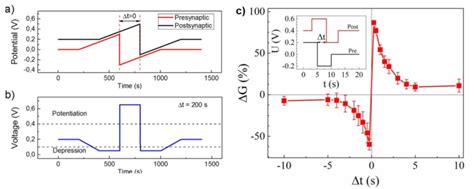 A Shapes Of Pre Synaptic Red Line And Post Synaptic Black Line