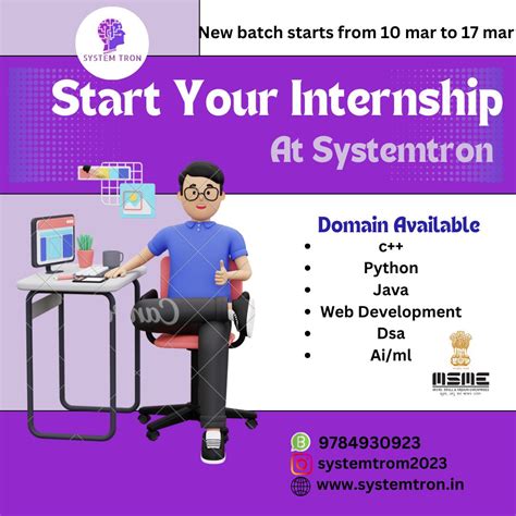 internship systemtron