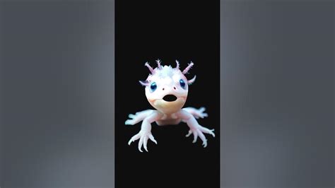 우파루파 진짜배기 진짜배기 리즘아 부탁행 제발 떠라 Youtube