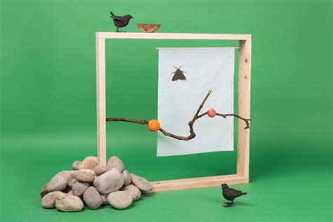 Nature Scenes Are Sculptural Still Lifes For Recording Urban Wildlife