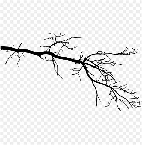 Free Download HD PNG Transparent Tree Branch PNG Image ID 4190 TOPpng