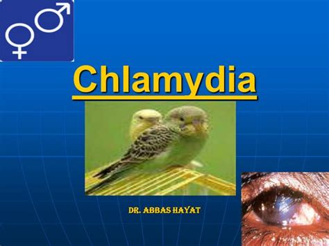 Chlamydia Pptx