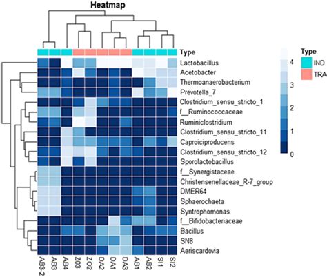 A Hierarchically Clustered Heat Map Shows The Bacterial Genus Level