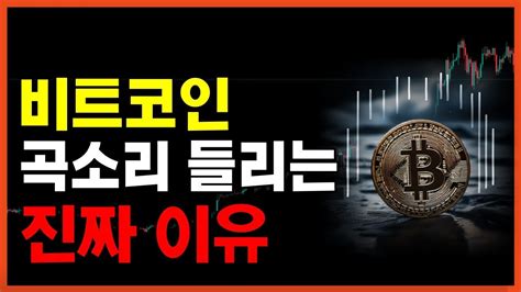 비트코인 6개월 동안 지옥 입니다 Youtube