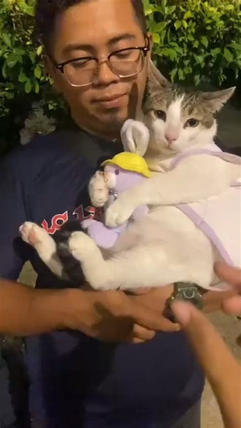 Wunk Gets Thefied R Wunkus