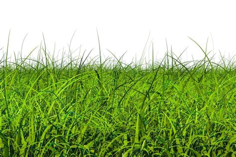 Premium Photo Green Grass 3d Rendering Isolated On White Background