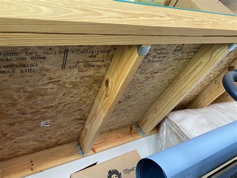 How To Tell What Sex This Cat Is Rhowto