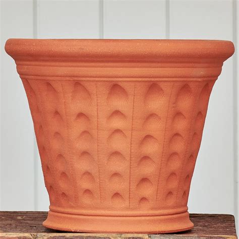 Cockleshell Pot Large White Flower Farm