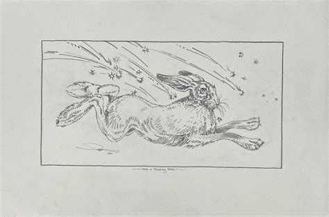 Colin See Paynton Hare And Shooting Stars Ffin Y Parc Gallery