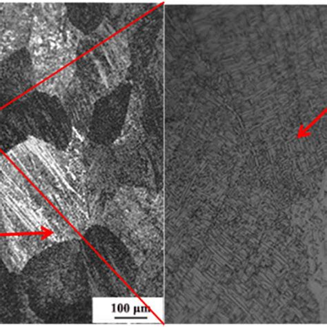 Original Microstructures For Tb6 Alloy Download Scientific Diagram