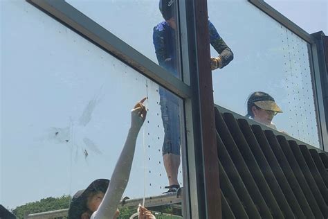 후기 생명을 살리는 조류충돌 방지 스티커 부착 인천녹색연합